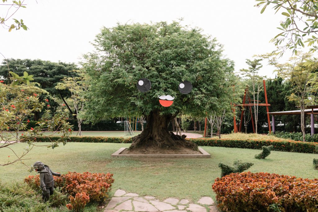 Main – English - โรงเรียนต้นกล้า